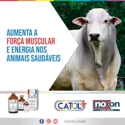 CATOL + 100ml Noxon | Acesse o site e compre na Agroline